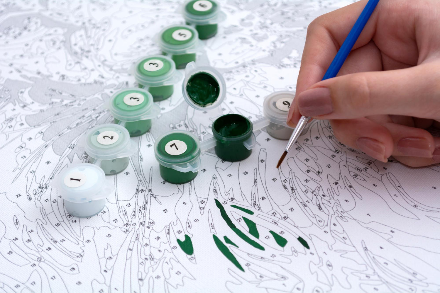 Unique Paint by Numbers Designs for Every Room – Crafty By Numbers